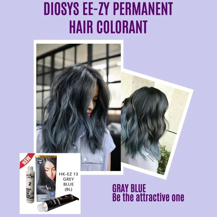 Jual Diosys EE-ZY Permanent Hair Colorant | Shopee Indonesia