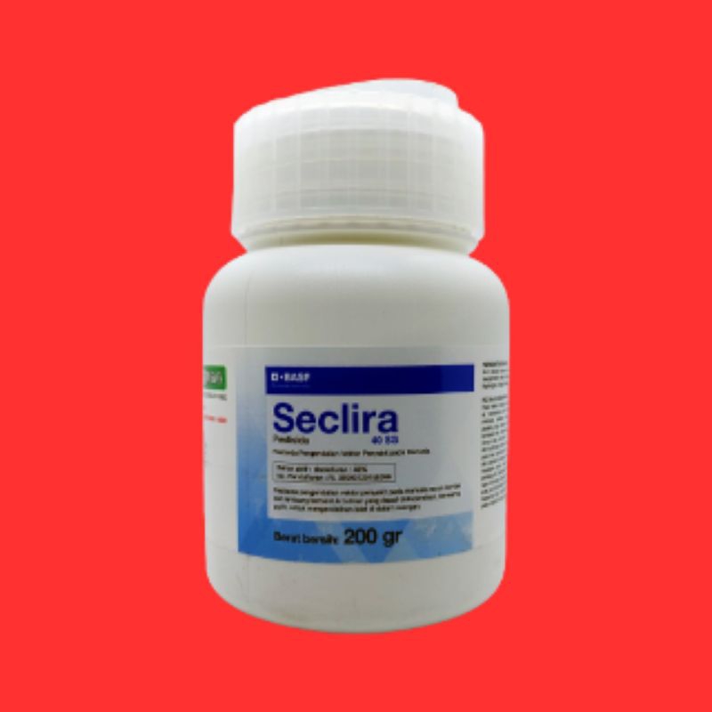 Jual seclira 40 sg (200gr) | Shopee Indonesia