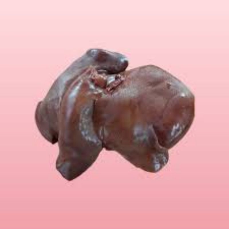 Jual HATI BABI SEGAR FRESH 1 KG | Shopee Indonesia