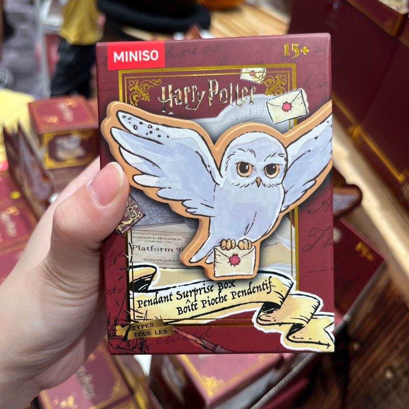 Jual Miniso x Harry Potter Blind Box Time Letter Surprise Box Pendant / Hogwarts School Season ...