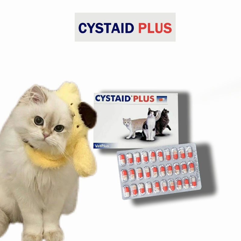 Jual 【Ready Stok】Vetplus Cystaid Plus 1 BOX (30 Capsules) Urinary Care ...