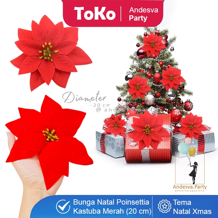 Jual Bunga Kastuba Poinsettia Merah / Bunga Kastuba Poinsettia Bunga ...