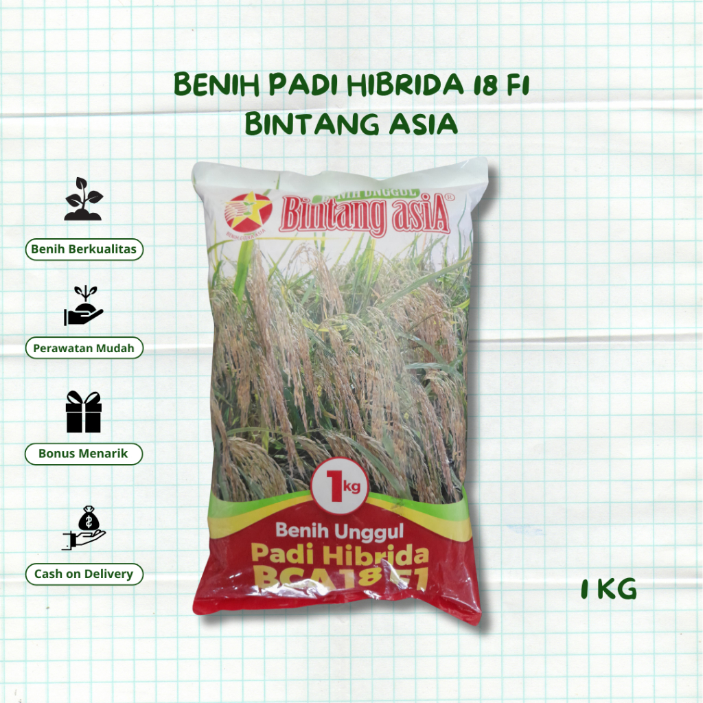 Jual Benih Bibit Padi Hibrida 18 F1 1 Kg - Bintang Asia | Shopee Indonesia