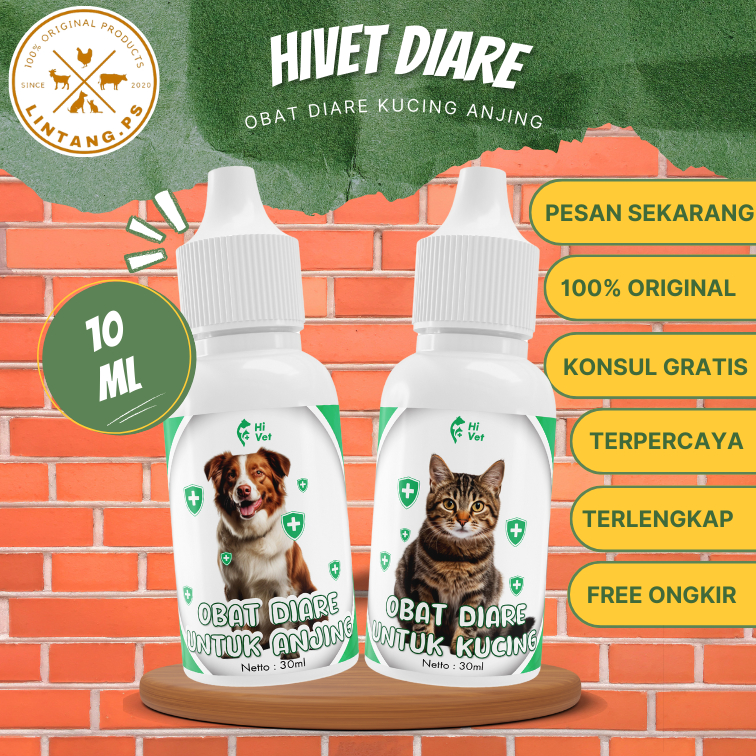 Jual Hi Vet Obat Diare Kucing 10 ml - Hi Vet Obat Diare Kucing - Obat ...