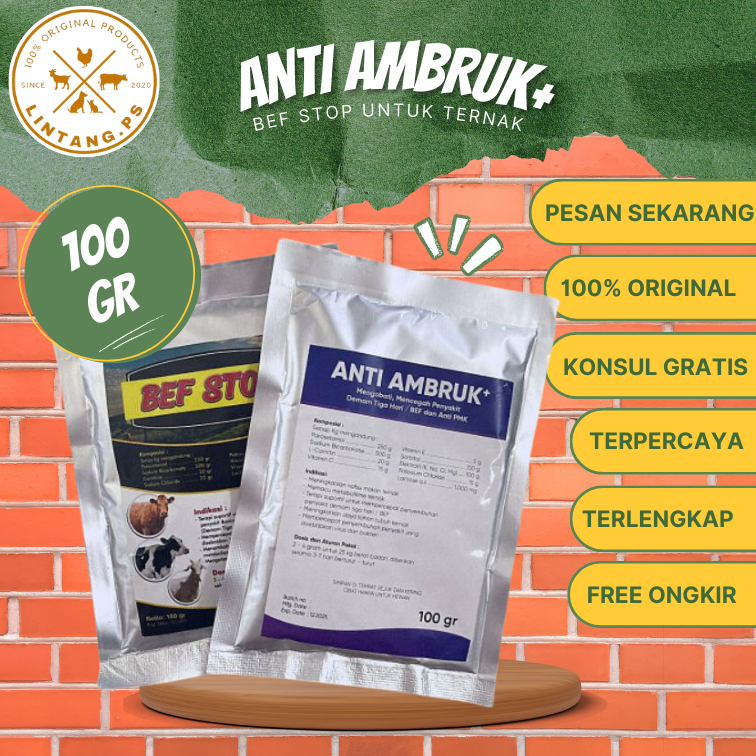 Jual Anti Ambruk 100 gram - Suplemen Sapi Ambruk - Suplemen Ternak ...