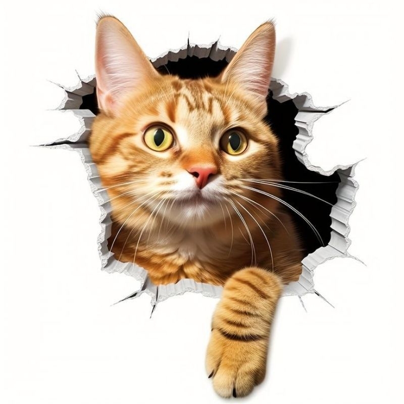 Jual stiker gambar kucing lucu size 15x15 cm print cut | Shopee Indonesia