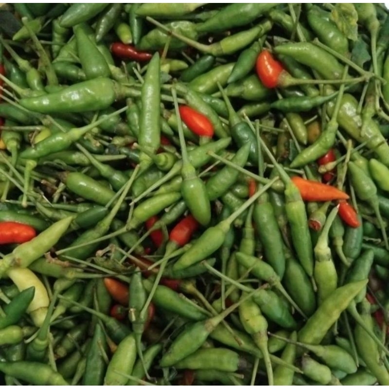Jual cabe rawit / cabe rawit Wonosobo | Shopee Indonesia
