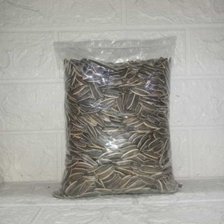 Jual kuaci matahari 500 gram | Shopee Indonesia