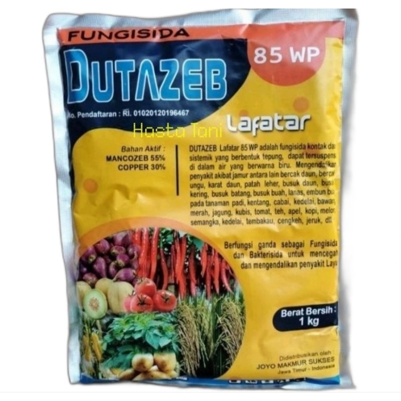Jual Fungisida Sistemik DUTAZEB LAFATAR 85WP 1KG | Shopee Indonesia