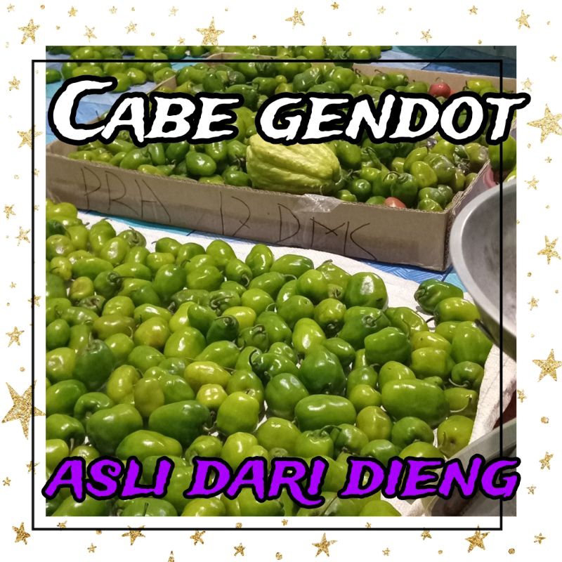 Jual CABE GENDOT 500gr asli Dieng | Shopee Indonesia