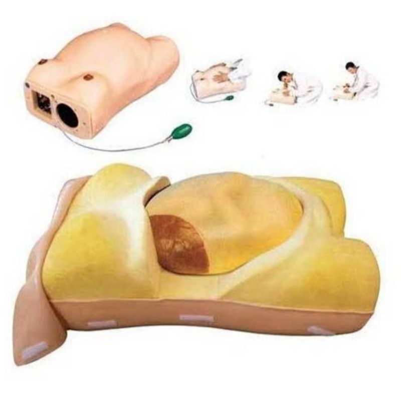 Jual Maternity Examination Simulator GD / FW2 General Doctor Manikin ...