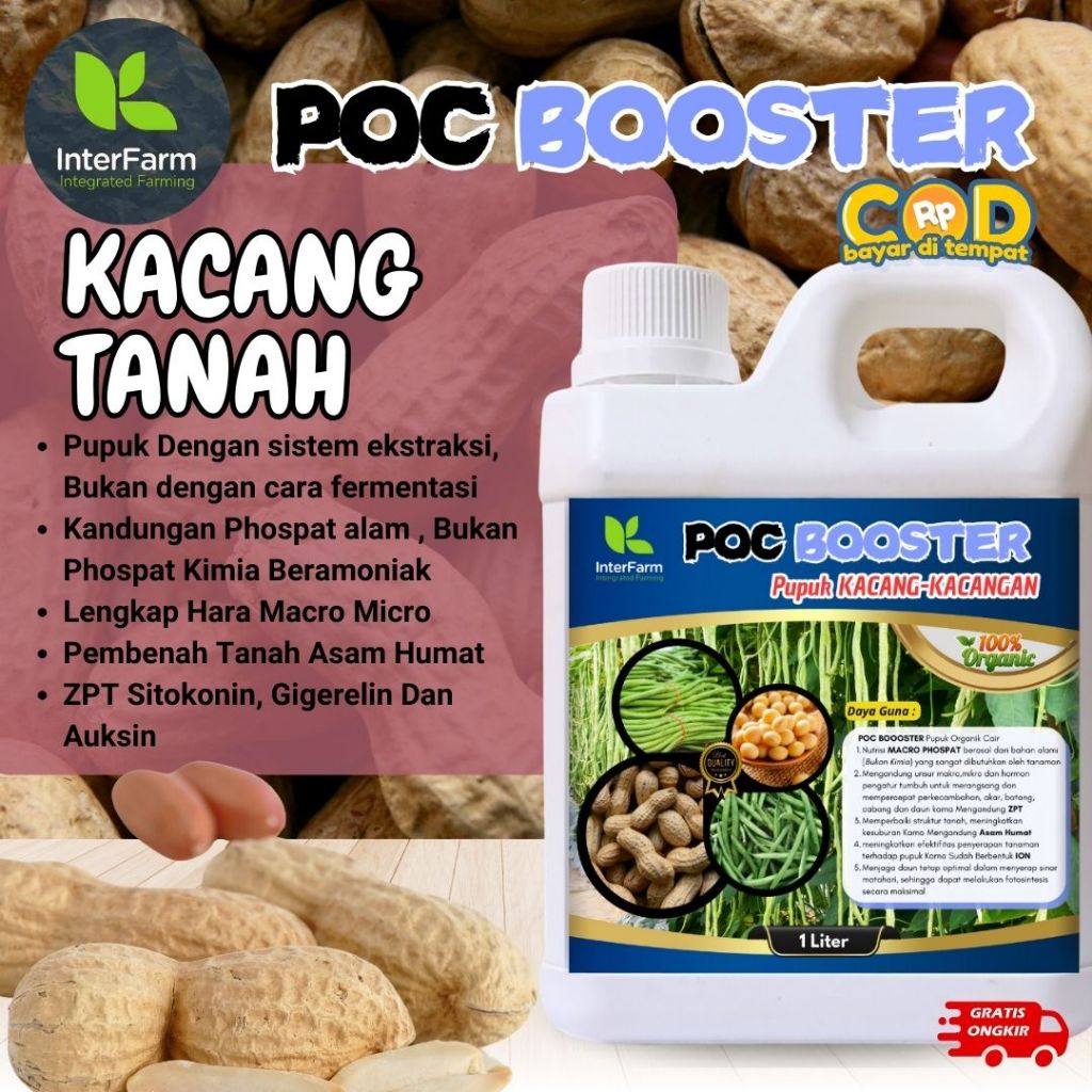 Jual Pupuk pelebat kacang tanah ,Pupuk untuk kacang tanah, Pupuk ...