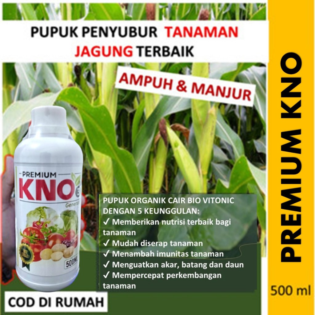 Jual (PROMO) PUPUK PELEBAT JAGUNG MURAH kno 500 ML - Pupuk Ampuh Melebatkan Jagung dan Berbobot ...