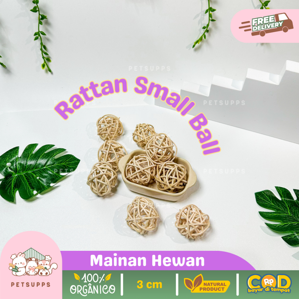 Jual Bola rotan mini | mini rattan ball | hamster chew toys | mainan ...