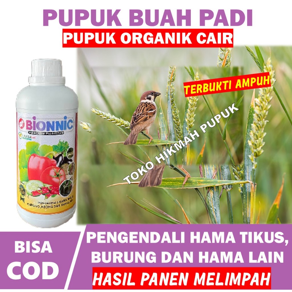 Jual PROMO COD BIONNIC Obat Hama Burung Pada Padi - Obat Pembasmi Hama ...