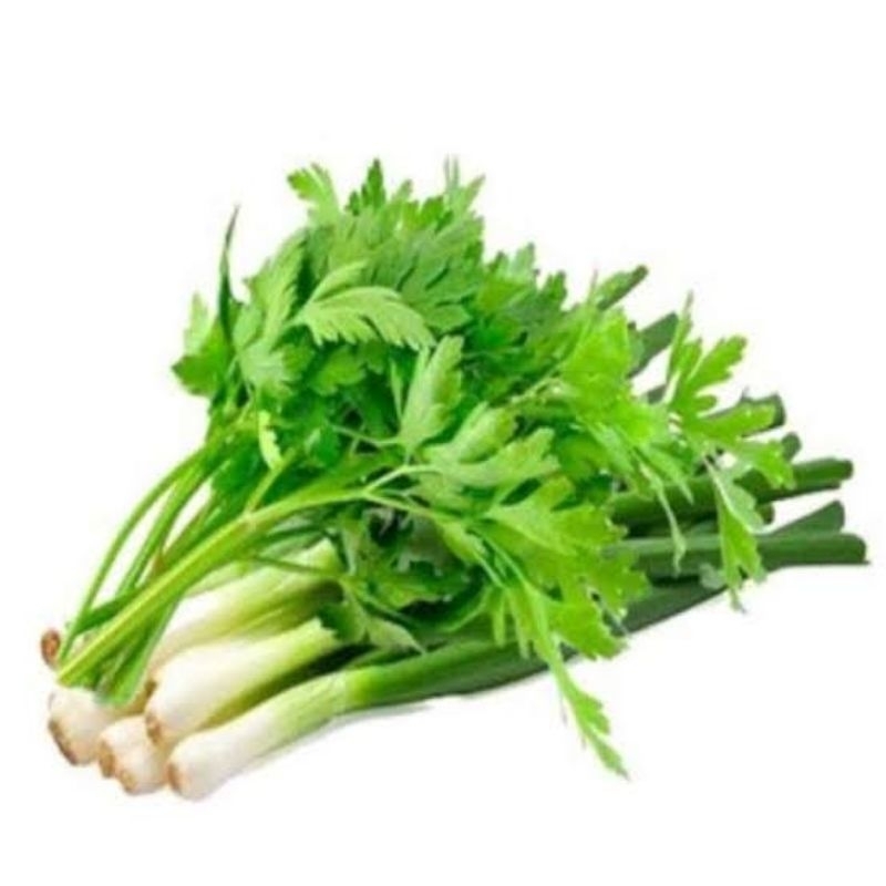 Jual DAUN BAWANG SELEDRI SEGAR | Shopee Indonesia