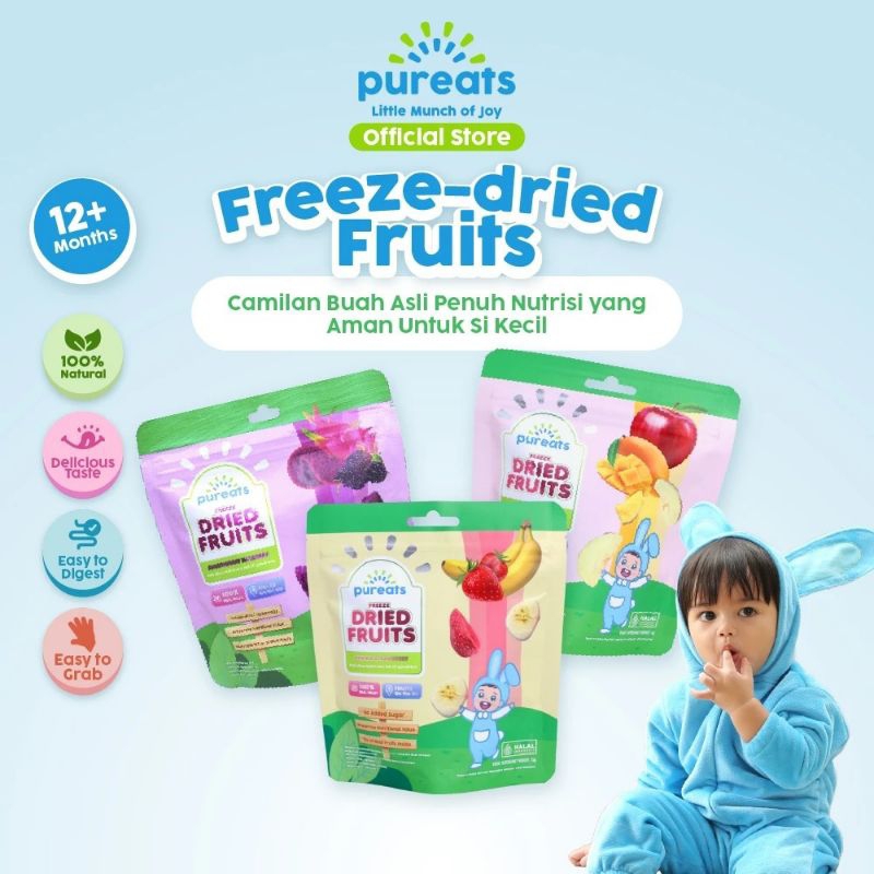 Jual Pureats Freeze Dried Fruits Dragonfruit Mulberry/Banana Strawberry ...