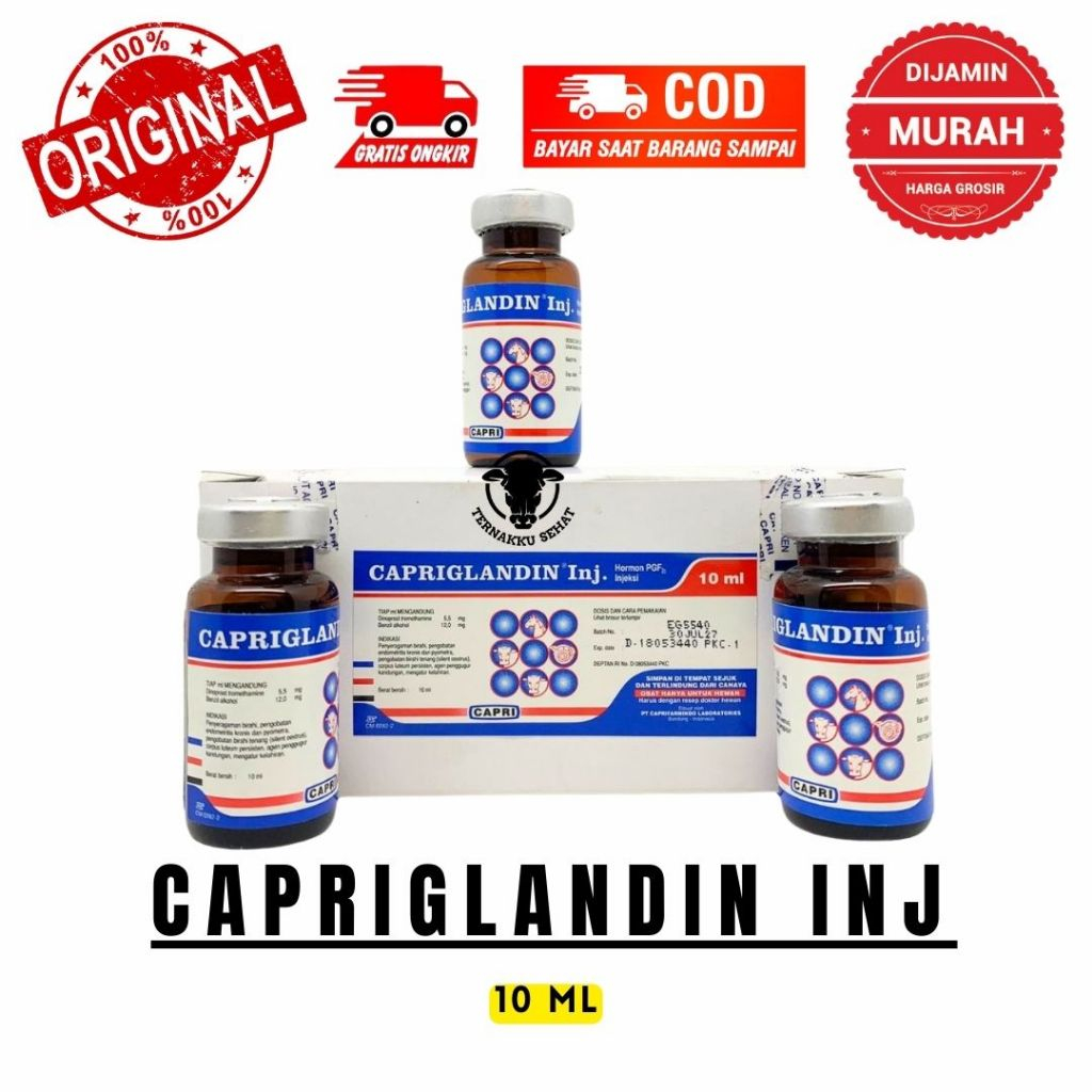 Jual CAPRIGLANDIN INJ 10 ml - Obat Birahi Hewan, Hormon Sinkronisasi ...