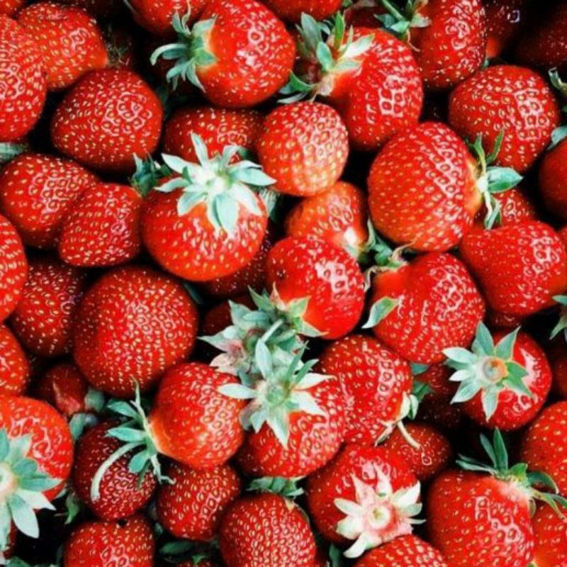 Jual buah strawberry 1 kg | Shopee Indonesia