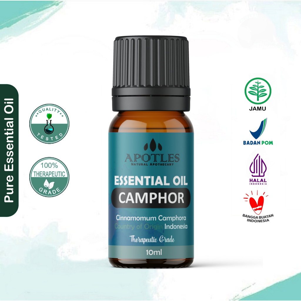Jual Camphor Essential Oil - Minyak Aromaterapi Kamper Camphor Murni ...