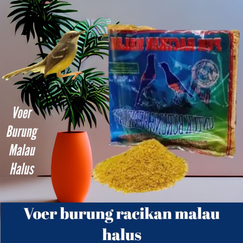 Jual Pur burung malau halus | Shopee Indonesia