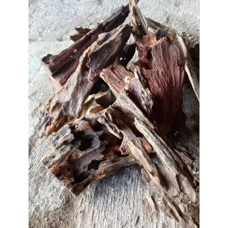 Jual kayu rentek aquatiq kayu mla rendom | Shopee Indonesia