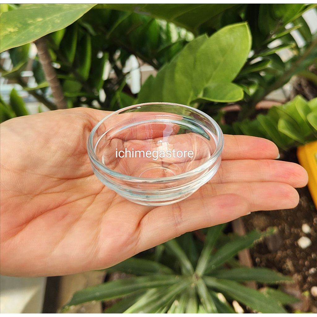 Jual ICHIMEGASTORE Mangkuk Super Mini Kaca Tiny Glass Bowl | Shopee ...