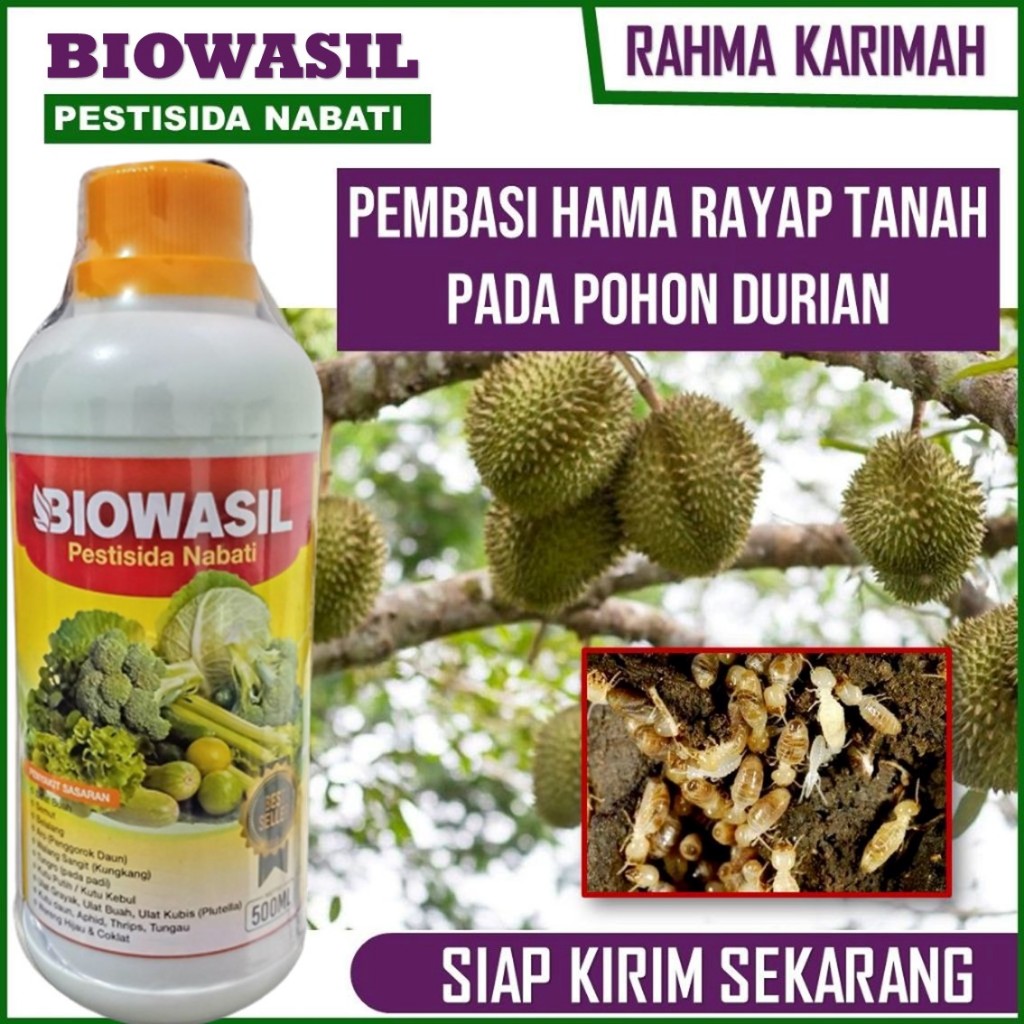 Jual PUPUK AJAIB BIOWASIL ISI 500 ML Pupuk Pembasmi Hama Rayap Tanah ...