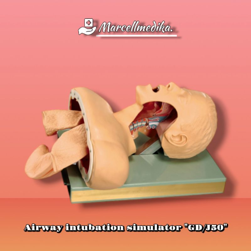 Jual PHANTOM MANIKIN AIRWAY INTUBATION MODEL GD-J50 / MANEKIN INTUBASI ...