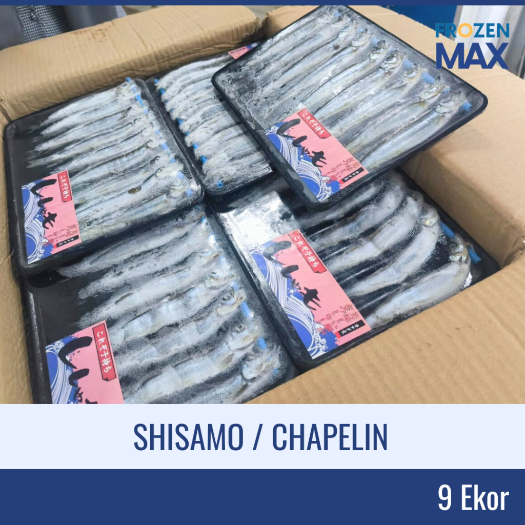 Jual Ikan Shisamo Full Telur Isi 9 Ekor | Ikan Cipung | Shishamo ...