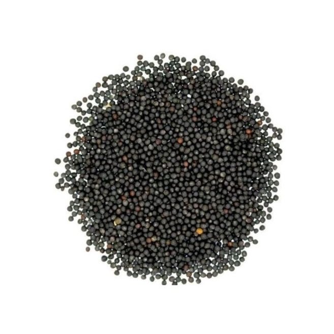 Jual biji sawi hitam black mustard seed 100 gr | Shopee Indonesia