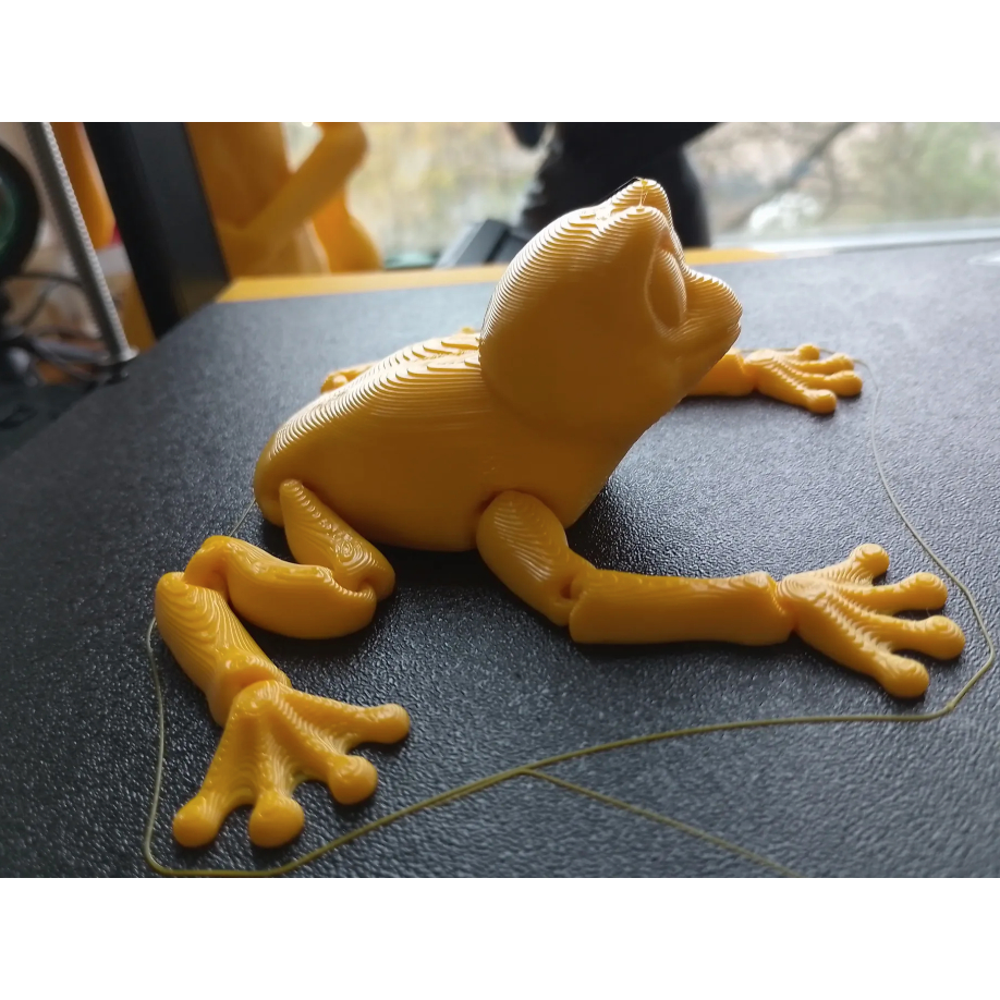 Jual Cuero Mainan Katak ARtikulasi Mainan Frog ARticulated Anak edukasi ...