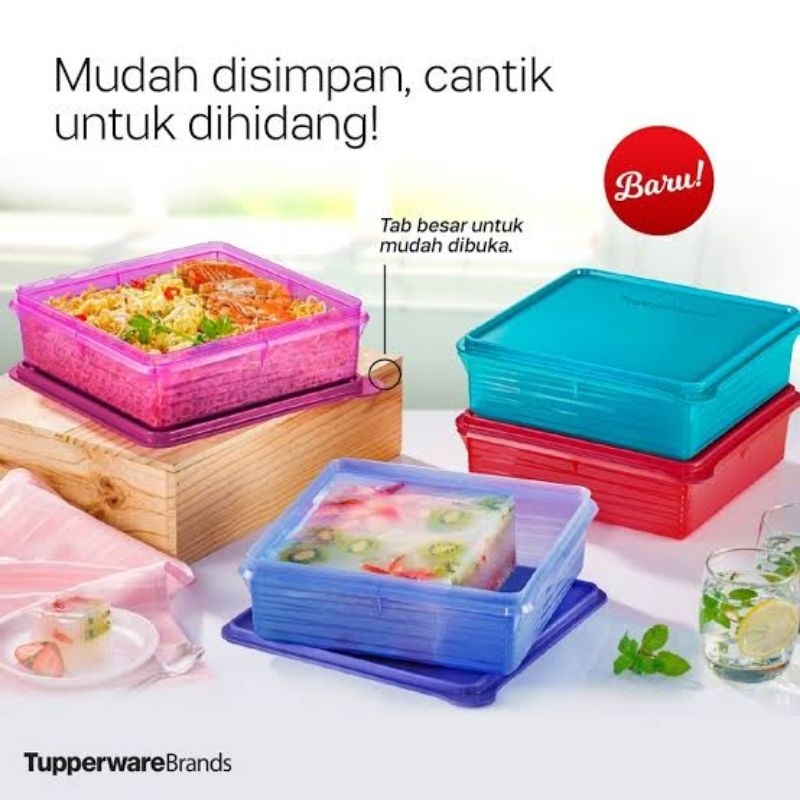 Jual Tupperware Mosaic Snak n Stor (1 Pcs) Wadah Box Snack Puding Cake ...