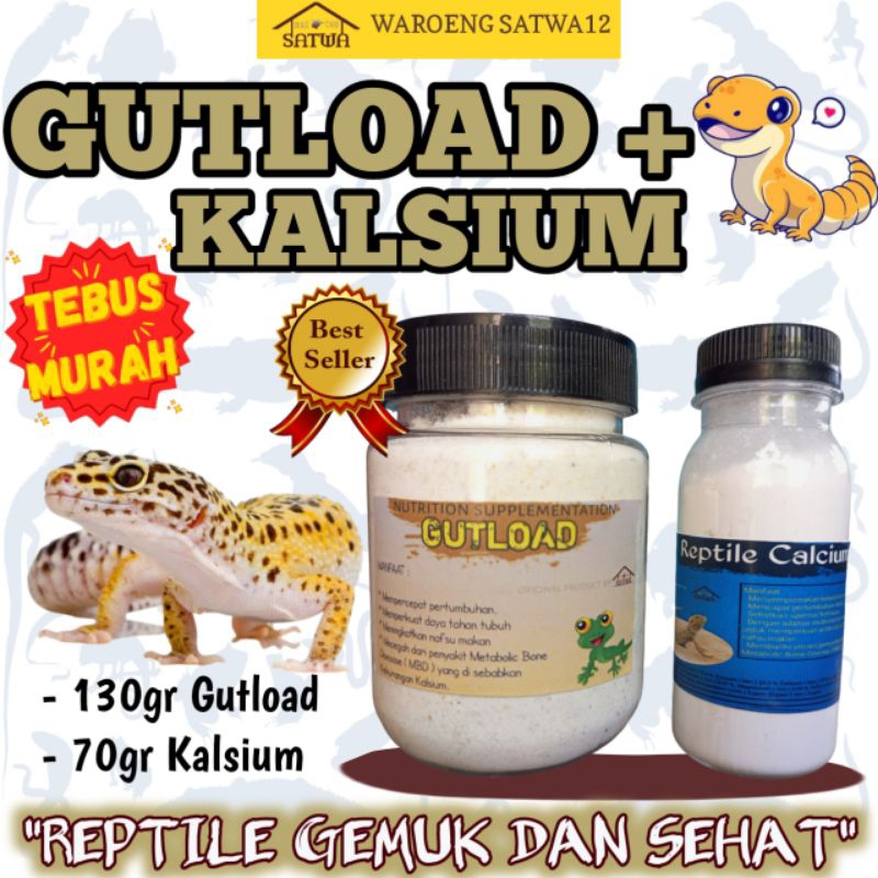Jual PAKET SUPER HEMAT!! GUTLOAD + KALSIUM GECKO BEARDED DRAGON ...