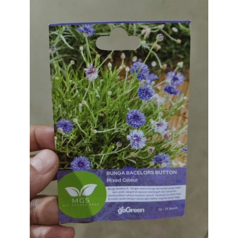 Jual Benih bunga BACHELOR BUTTON mix colour 75 butir dadi MGS benih ...