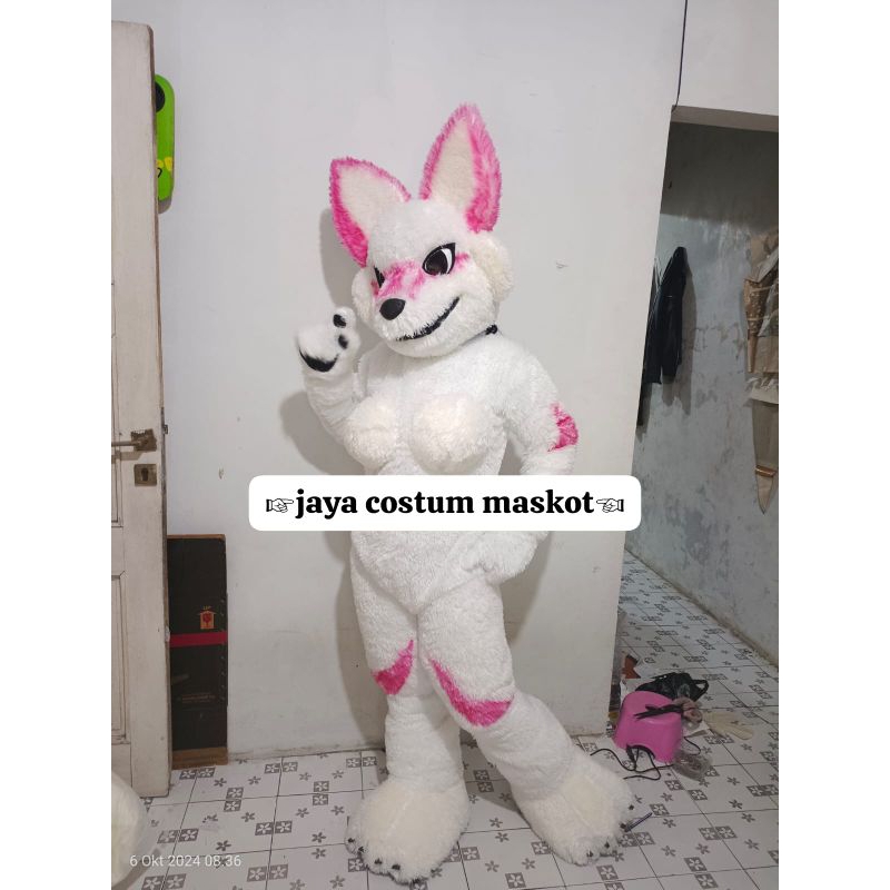 Jual Costum Maskot kucing | Shopee Indonesia