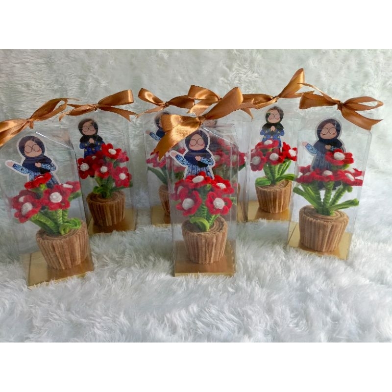 Jual Pot Bunga Kawat Bulu/Pipe Cleaner Mini Pot+ Box Mika dan Topper ...