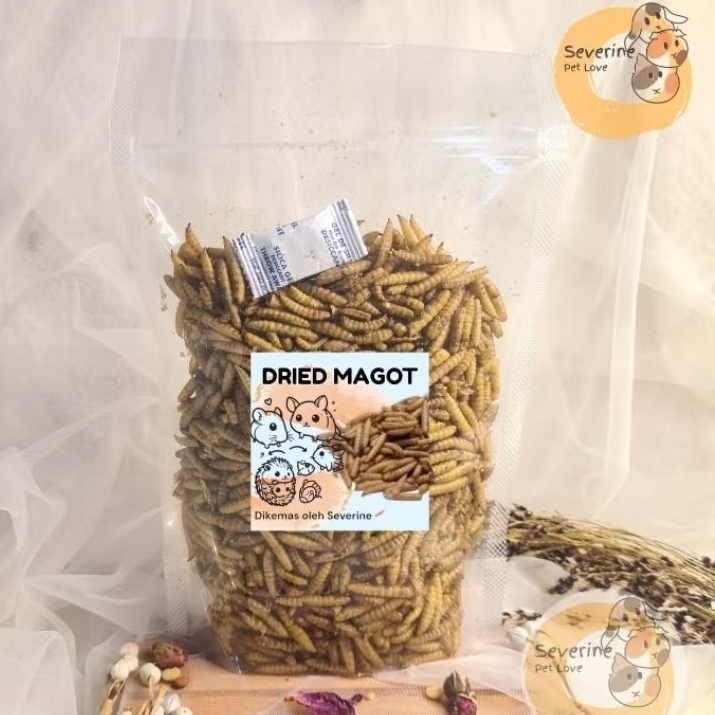 Jual 50gr Magot kering | Dried magot Bsf larvae | magot kering 15gr ...