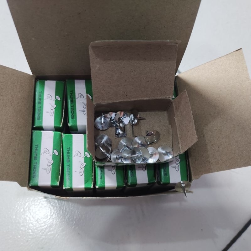 Jual paku pines / paku payung 10 box kecil | Shopee Indonesia