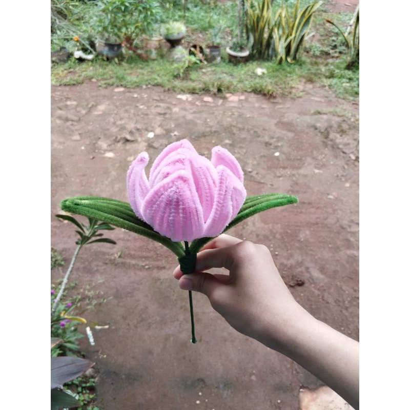 Jual Bunga Tulip Satu Tangkai dan Dua Daun/Bunga Kawat Bulu Satuan/Pipe ...