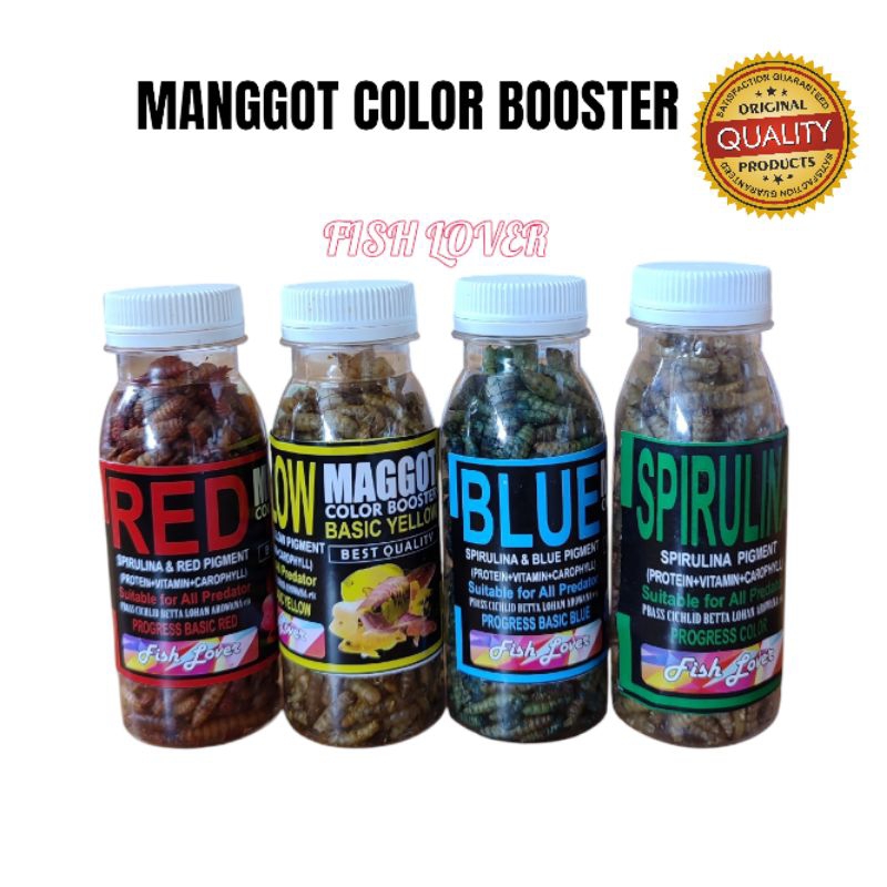 Jual MAKANAN IKAN PREDATOR MAGGOT BOTOL KERING ASLI FISH LOVER RED ...