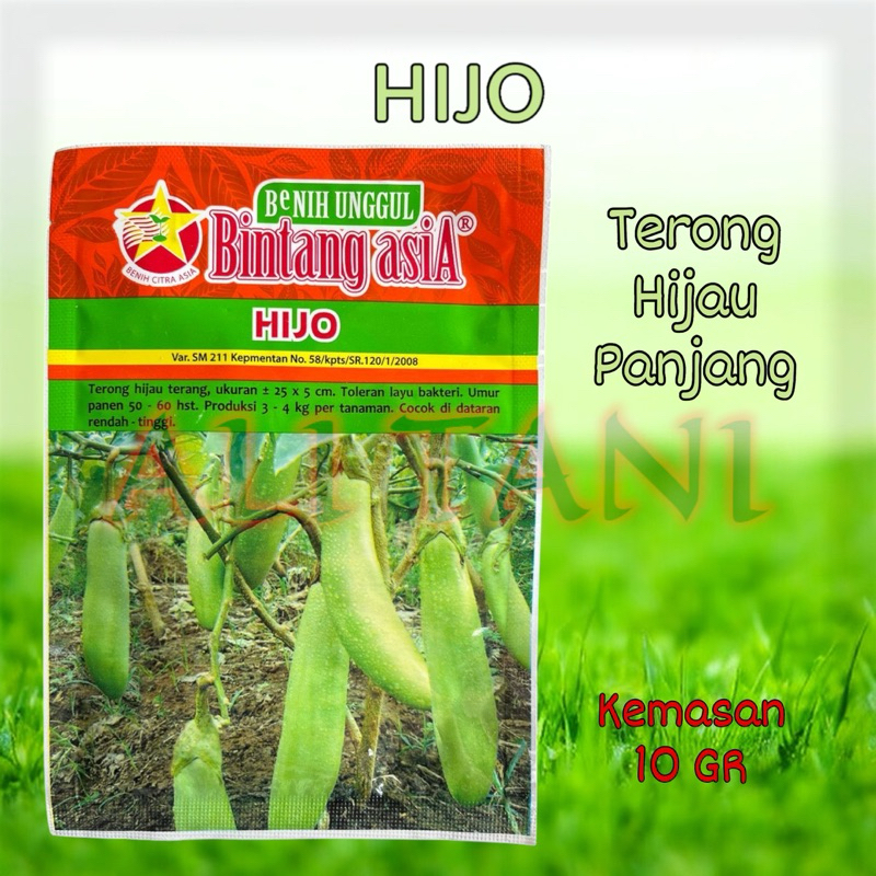 Jual Benih/Bibit Terung/Terong Hijau HIJO kemasan 10 gram | Shopee ...