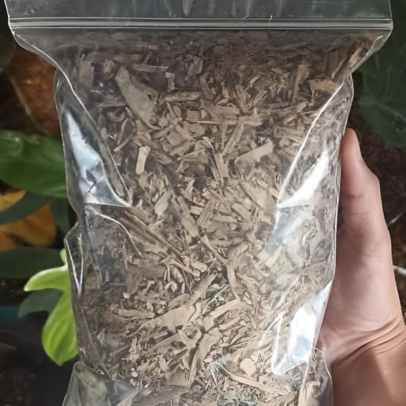 Jual Daun Bambu Kering 1 Plastik Sedang | Shopee Indonesia