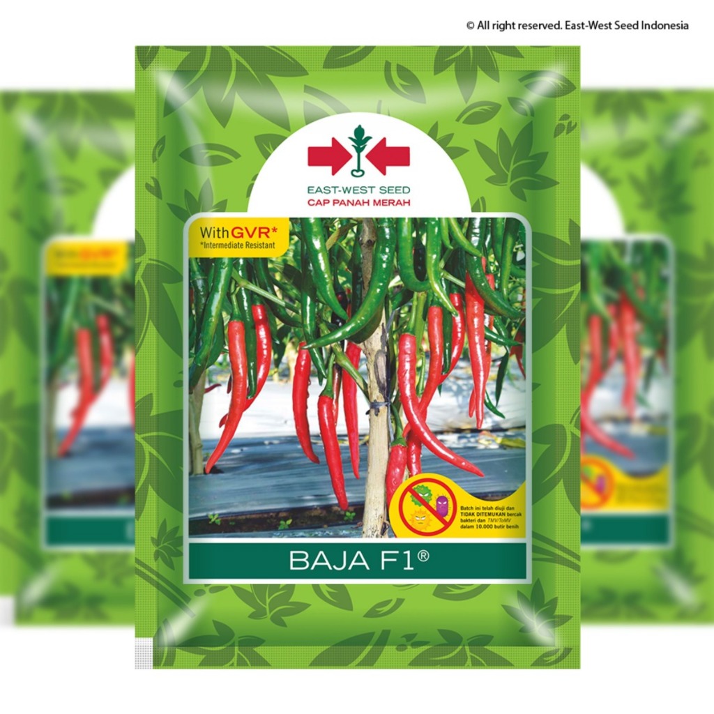 Jual CPM - 125 BUTIR BENIH CABE MERAH BESAR BAJA F1 | Shopee Indonesia