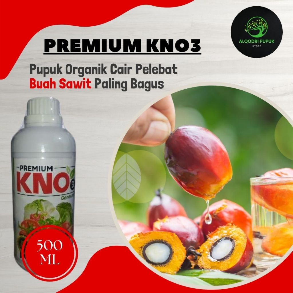 Jual PREMIUM KNO3 500ML Pupuk Sawit Berbuah Besar dan Lebat - Pupuk Booster Buah Kelapa Sawit ...