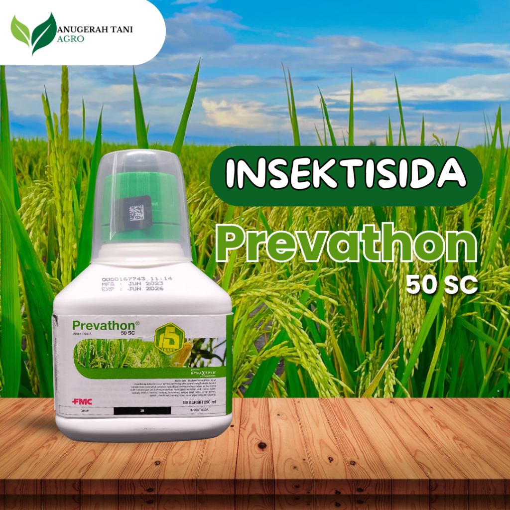 Jual Prevathon 50 SC Insektisida Pembasmi Hama Sundep pada Tanaman Padi ...