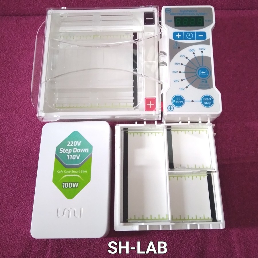 Jual Horizontal Gel Electrophoresis instrument MINIE-135 MIULAB ...