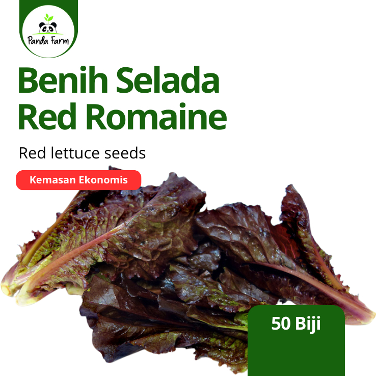 Jual Benih Selada Red Romaine Kemasan Ekonomis | Shopee Indonesia