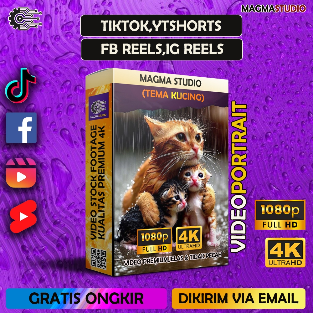 Jual 1000++(4K) Footage Portrait KUCING - Video Stock Footage ULTRA HD ...