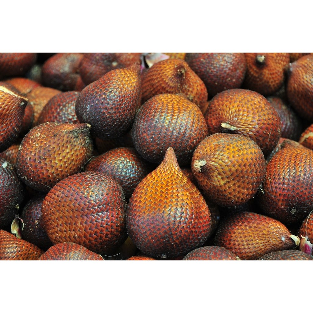 Jual SALAK PONDOH 1KG | Shopee Indonesia
